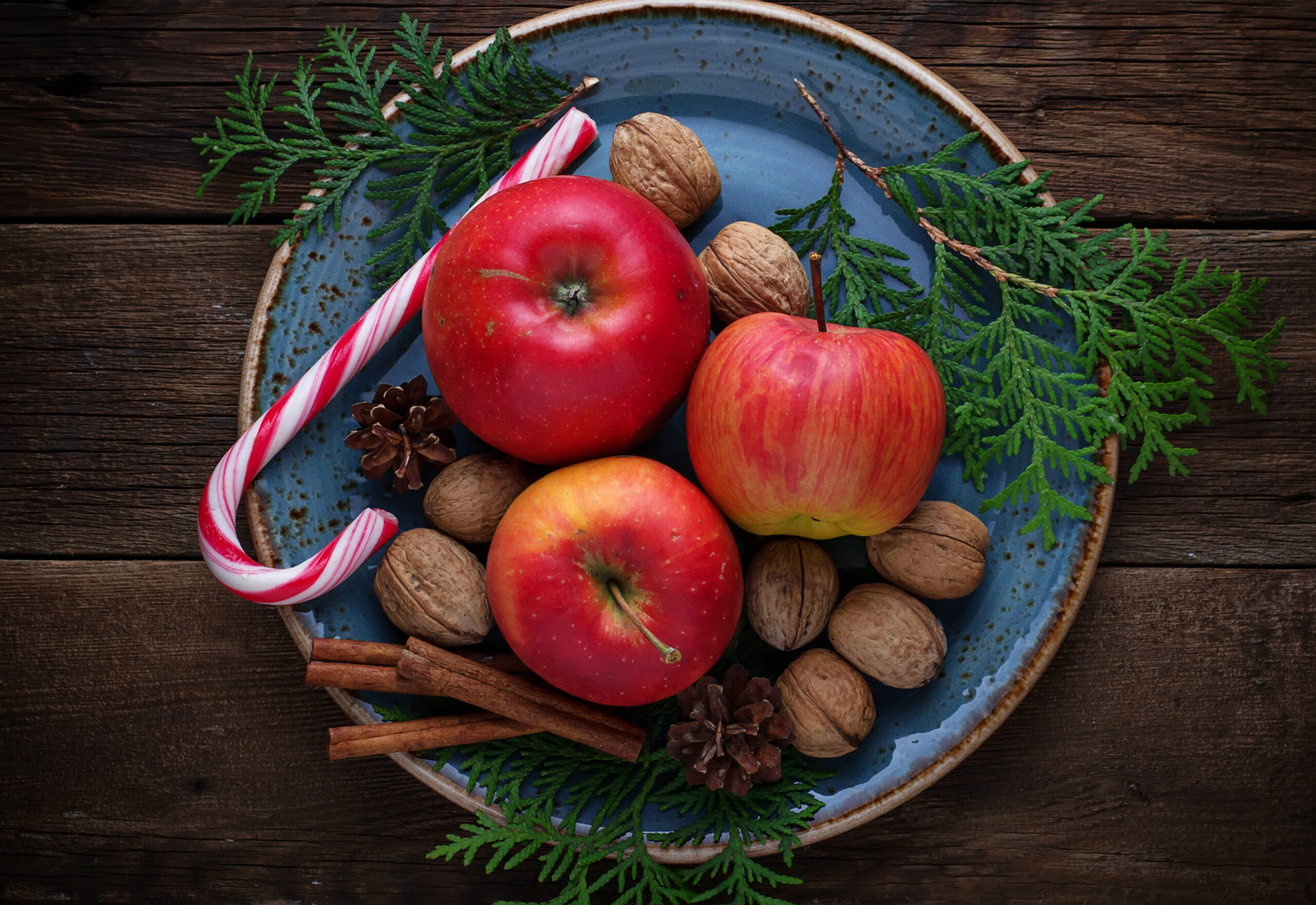 Healthy Holiday Eating Tips | Adelante Healthcare